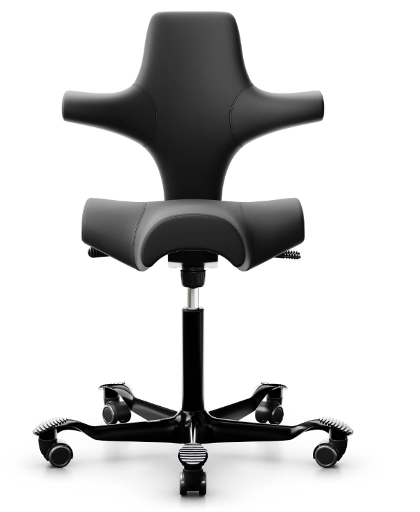 Joe Rogan Podcast Chair (HAG Capisco) — Rogan Recs