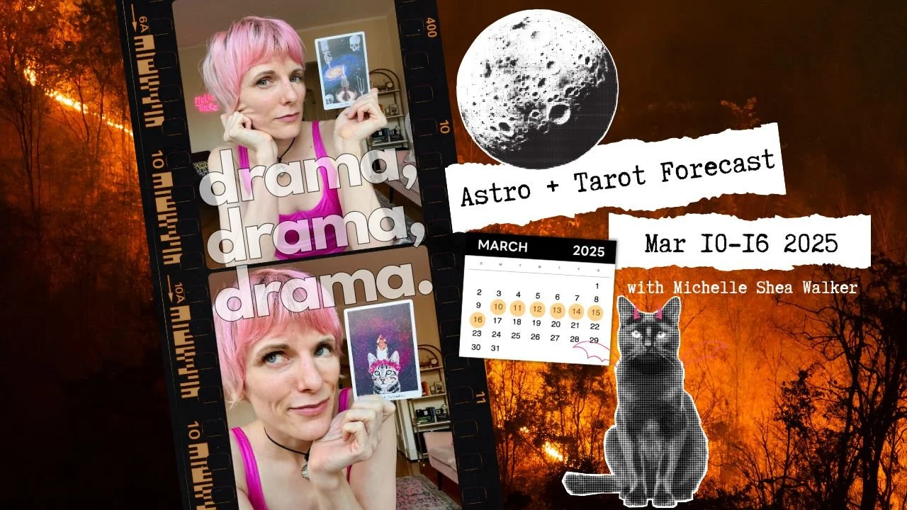 Blog | The Diary of a Demisexual Witch — Michelle Shea Walker