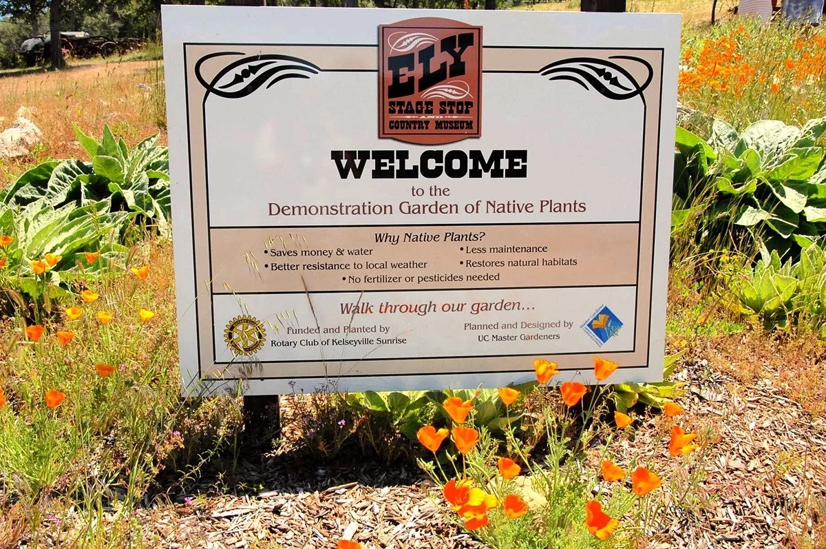 Native Plant Garden — Lake County Historical Society