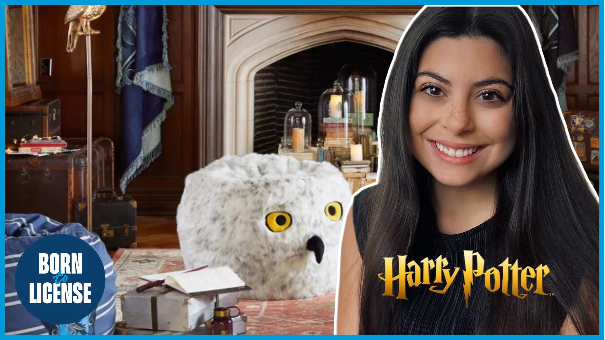 Born to License’s Top 5 Licensed Products: Harry Potter — Born to License