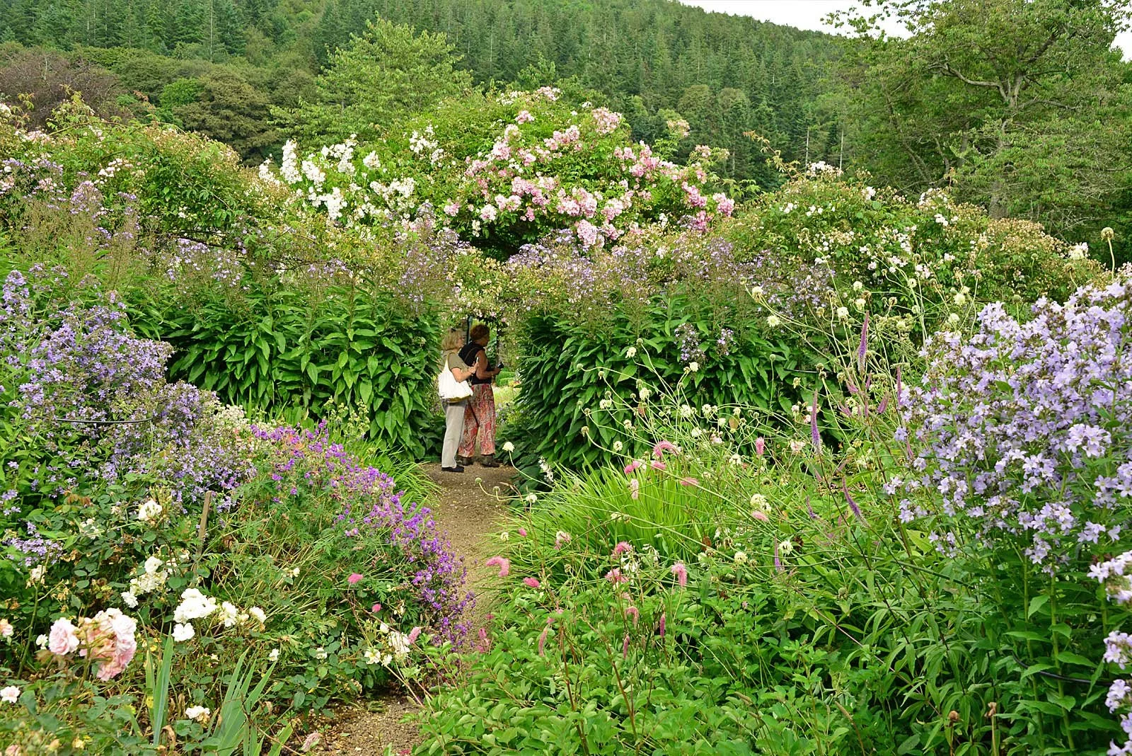 Tours of Carolside Gardens — Carolside House & Gardens