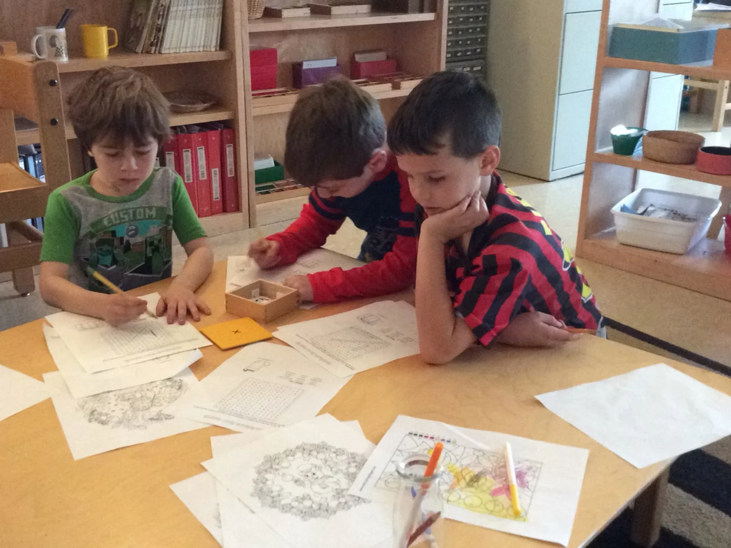 Elementary School, Montessori Education — Mt. Juliet Montessori Academy