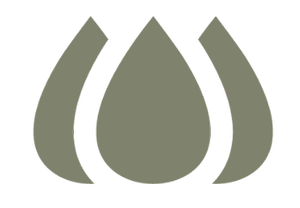 LACEVO - Revolutionizing Breastfeeding for Modern Mothers