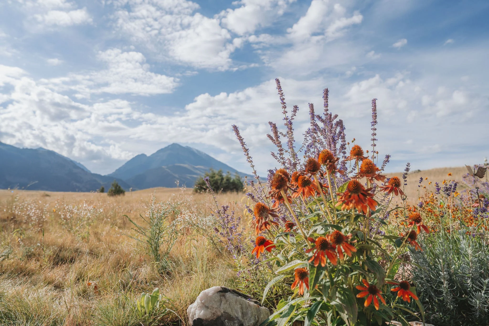 Prairie Design — Litchfield Landscape Designs