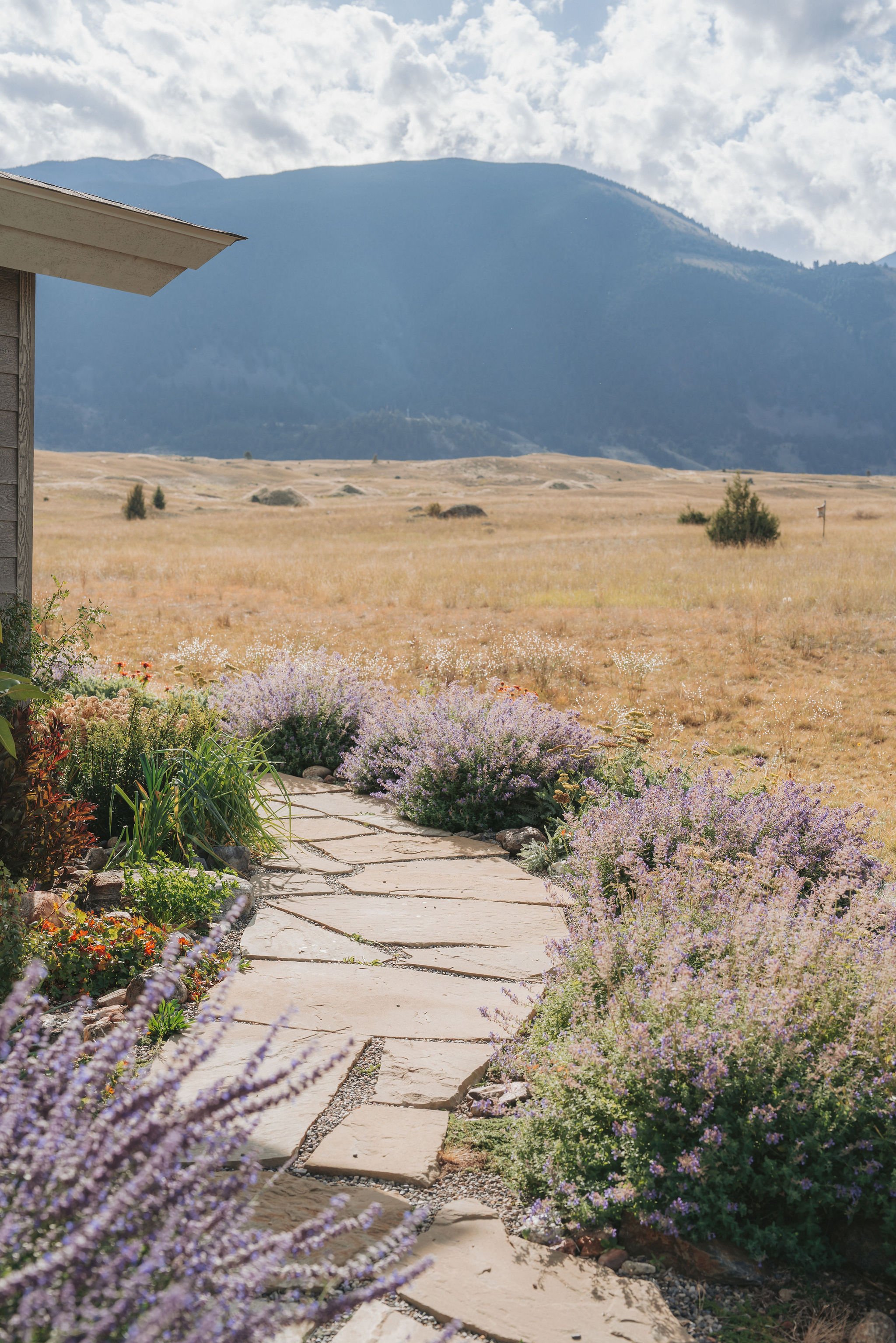 Prairie Design — Litchfield Landscape Designs