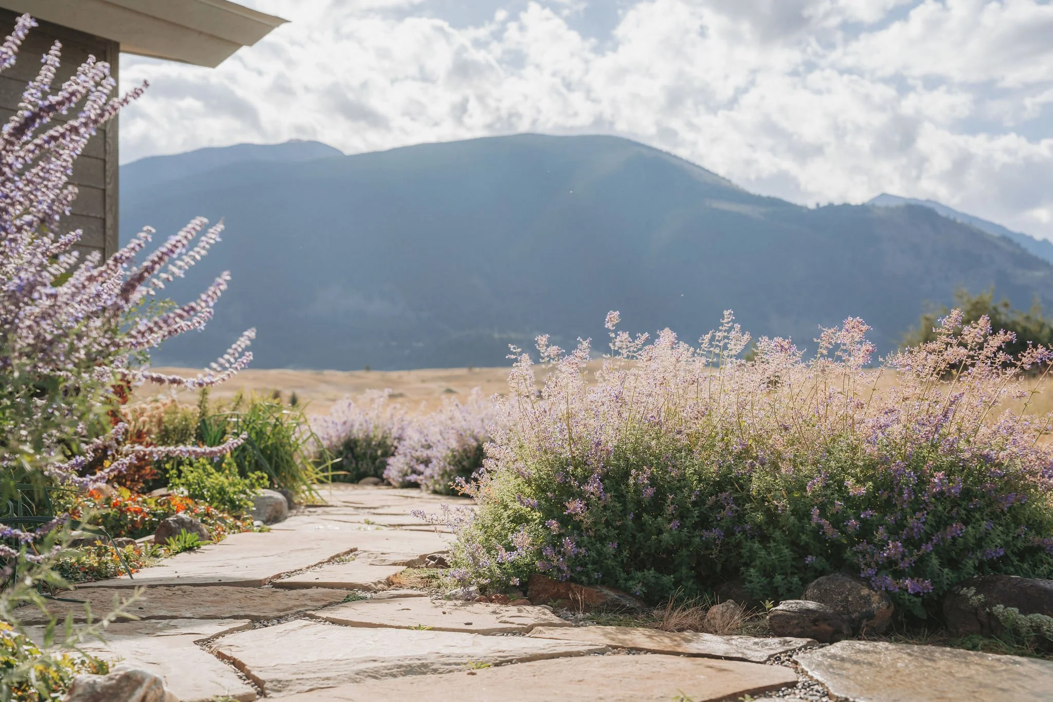 Prairie Design — Litchfield Landscape Designs