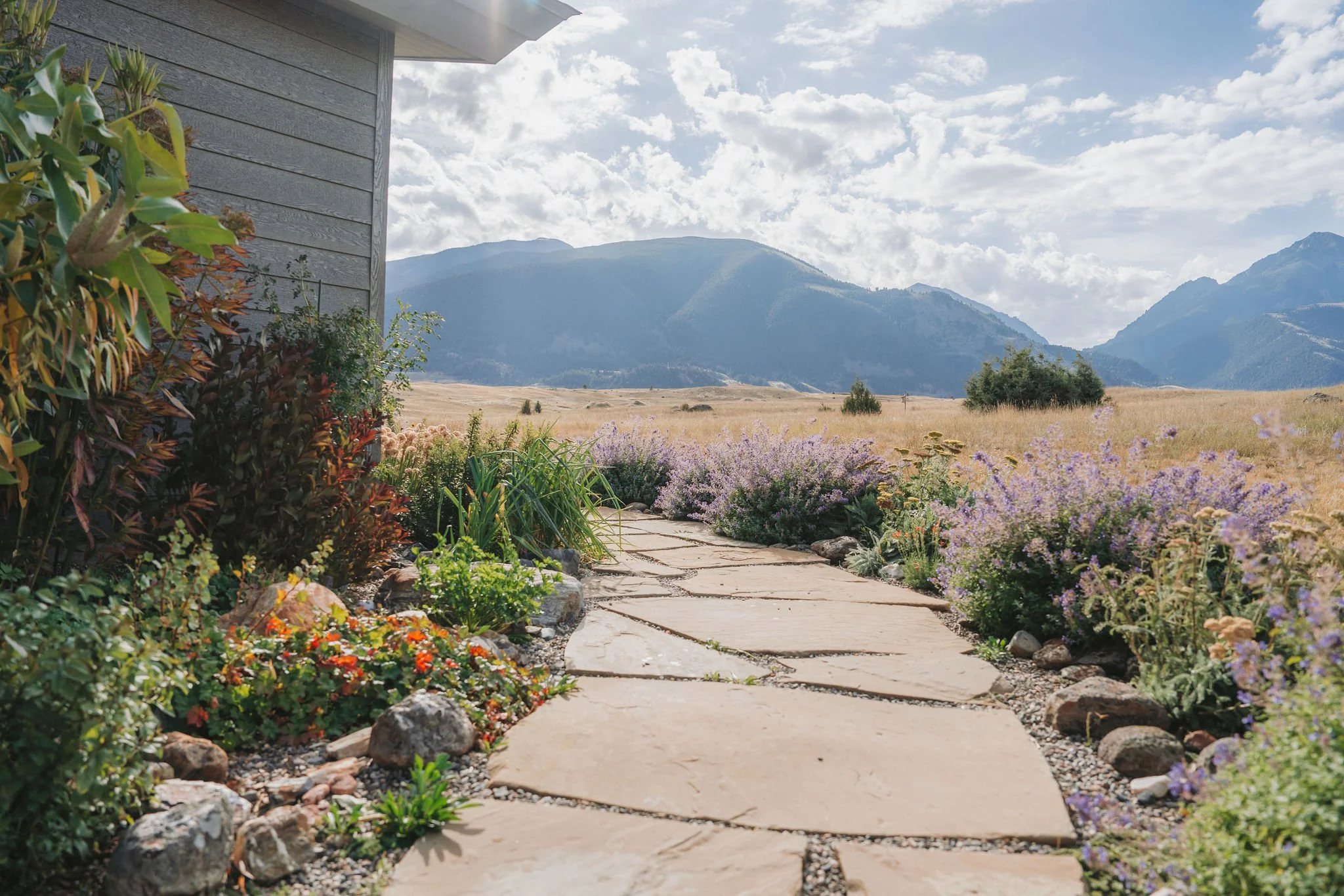 Prairie Design — Litchfield Landscape Designs