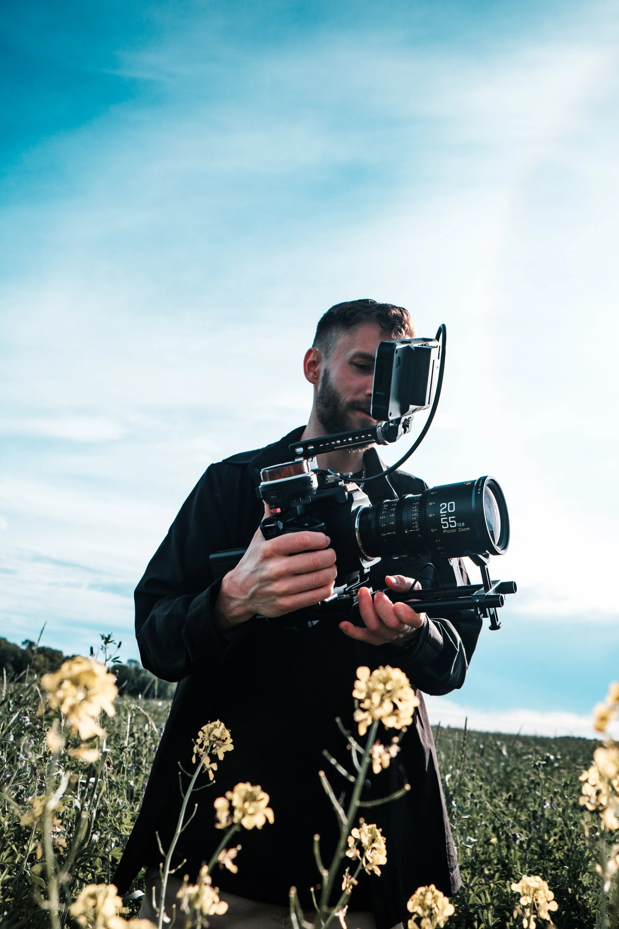 RENAISSANCE CREATIVE