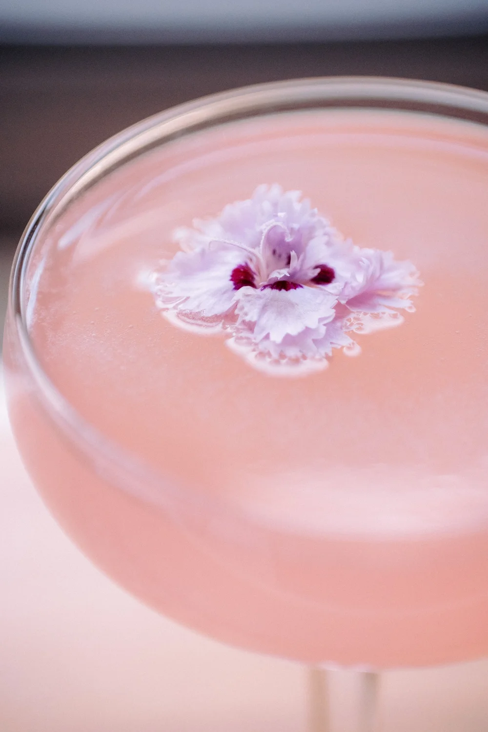 Gallery — Hello Darling