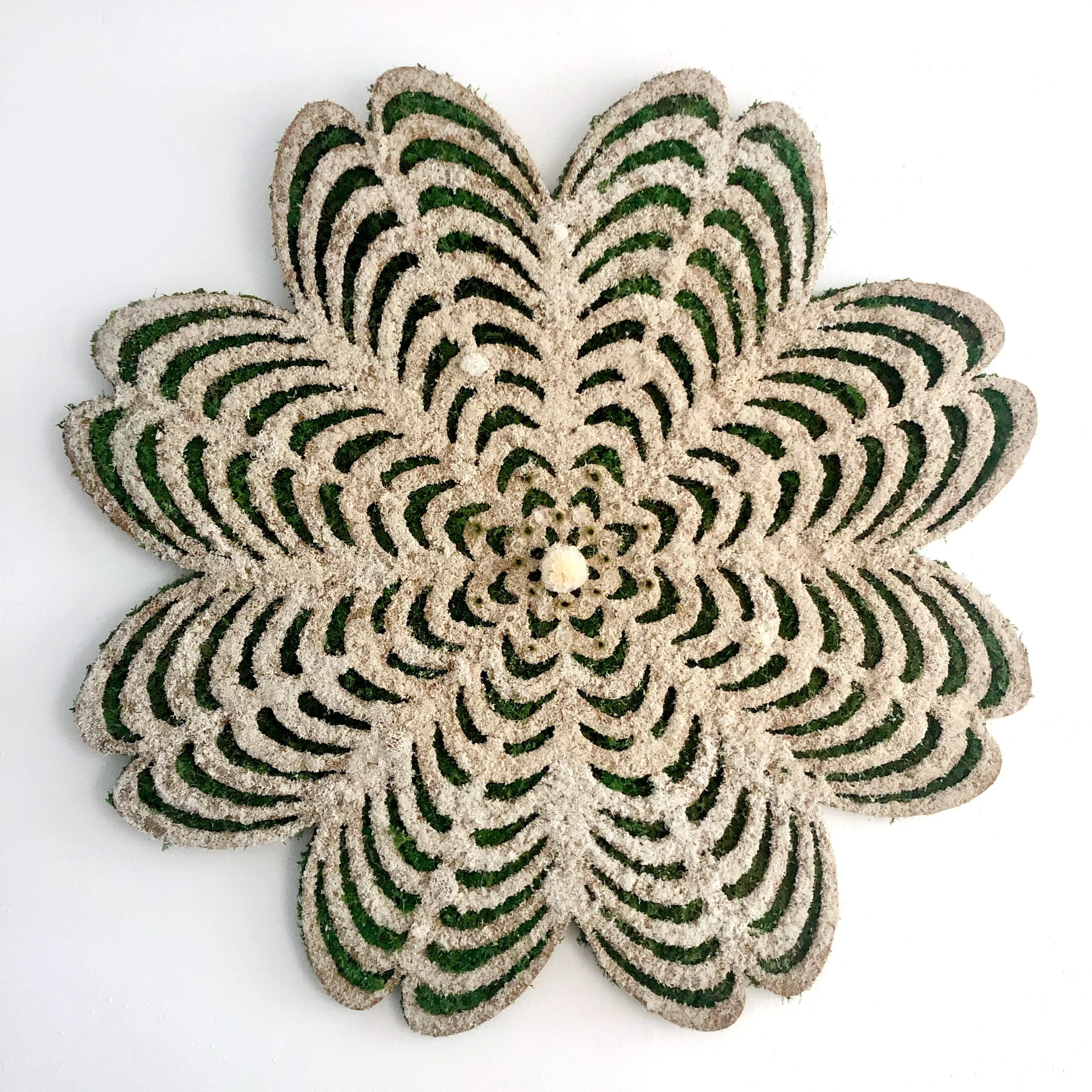 Order/ Disorder: Belonging in Nature — La Jolla Historical Society