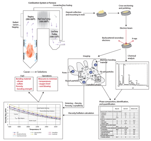 Scanning Electron Microscopy Point Count SEMPC — Microbeam Technologies ...