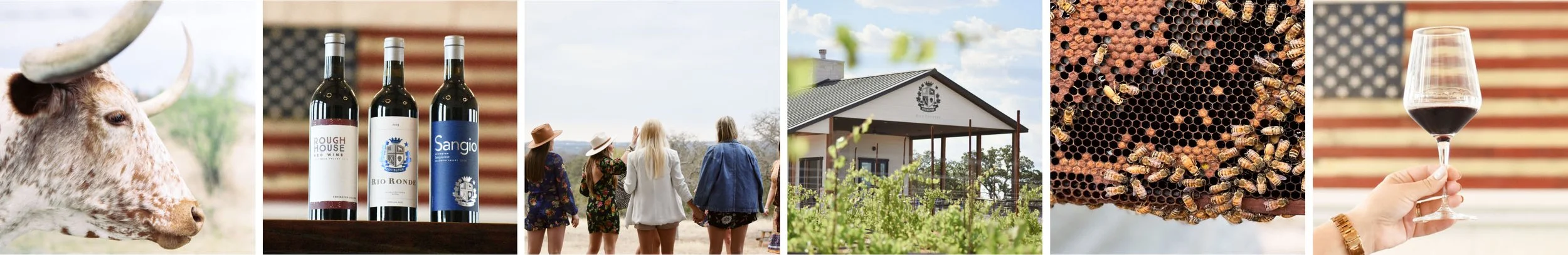 Covington Cellars | Texas and Washington Wineries