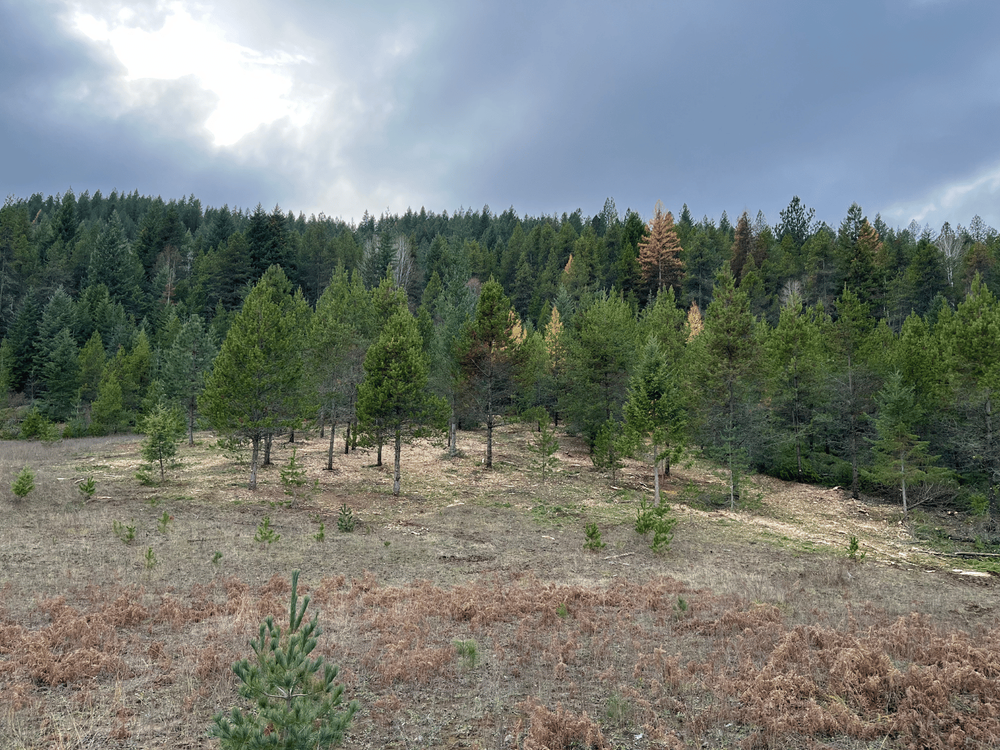 DNR Cost Share Contractor — Johnson Land Works LLC | Eastern Washington ...