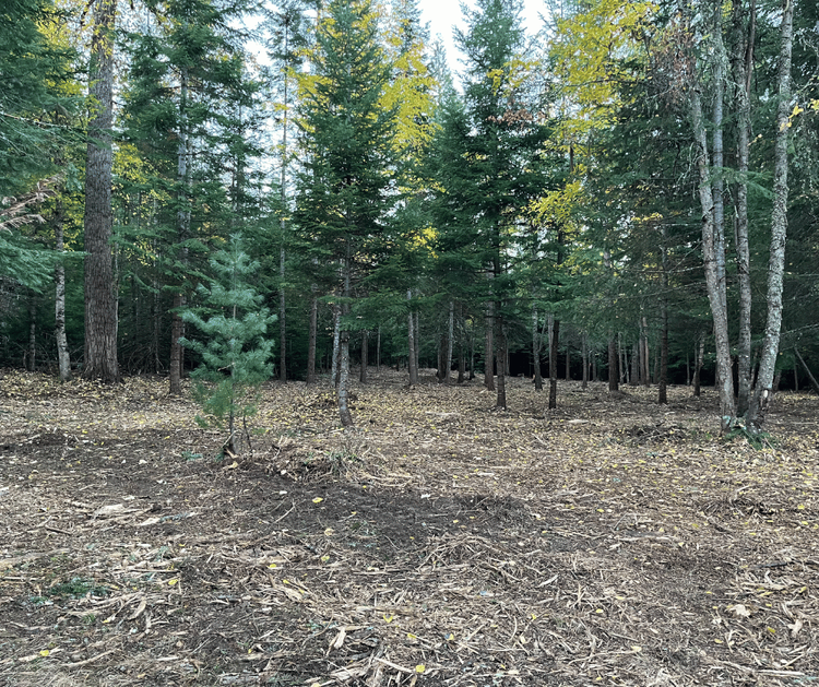 Our Work — Johnson Land Works LLC | Eastern Washington Land Management