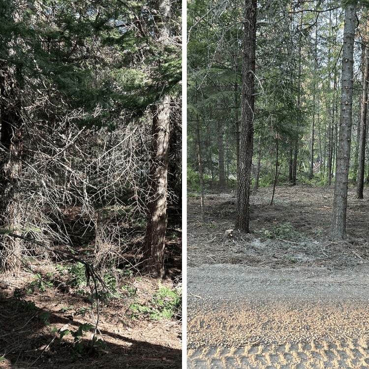 Forestry Mulching — Johnson Land Works LLC | Eastern Washington Land ...