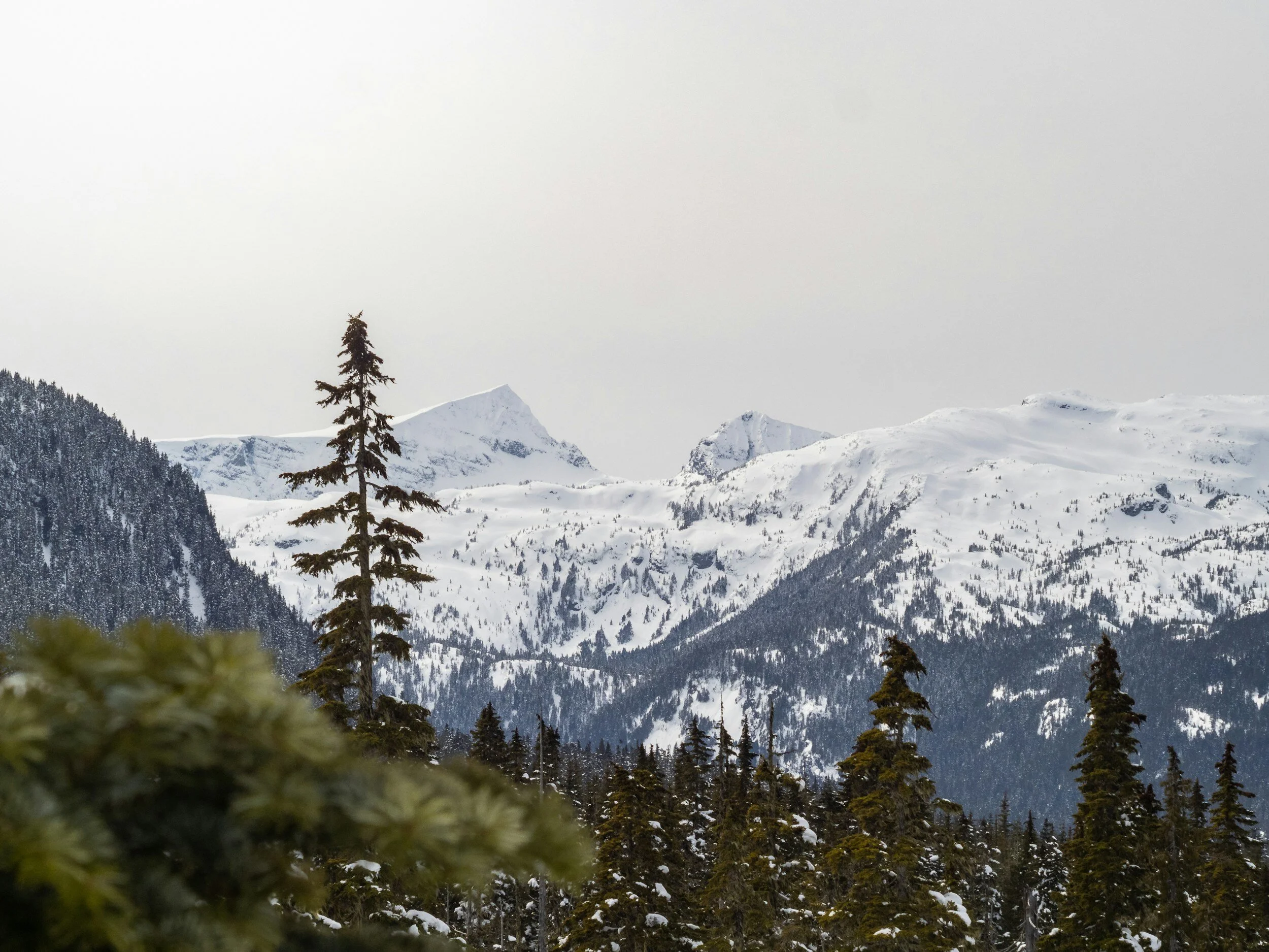 Car Rental in Comox Valley, BC — National Car & Truck Rental ...
