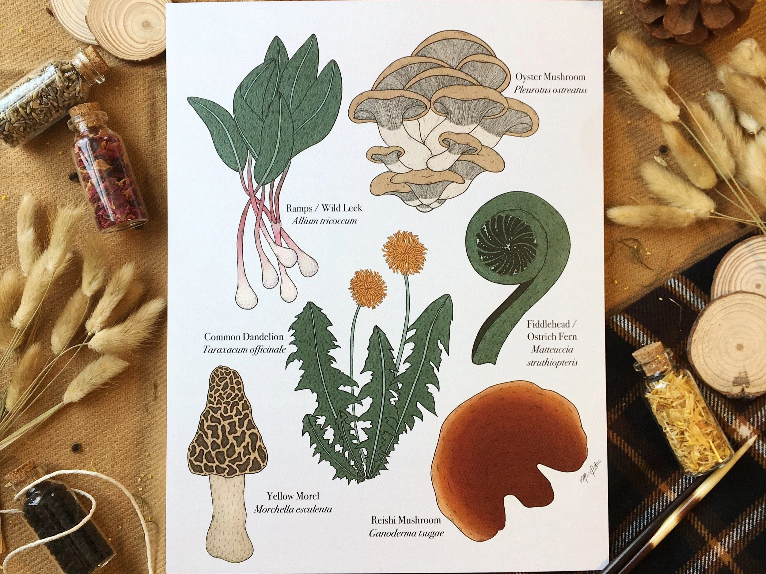 BLUE MOON CHOCOLATE & GIFTS - VALATIE, NY