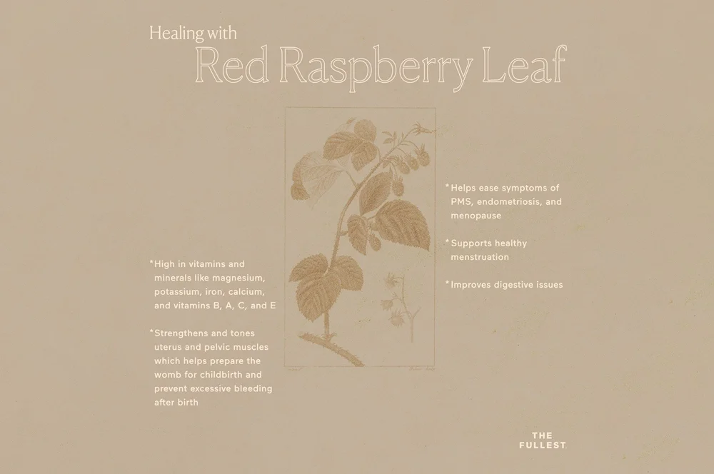 Healing with Red Raspberry Leaf — Nikki Bostwick