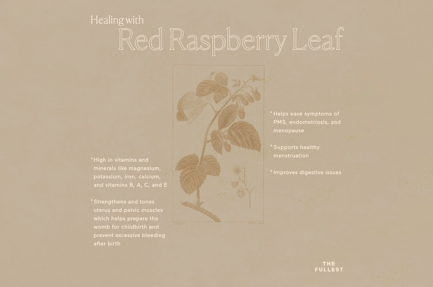 Healing with Red Raspberry Leaf — Nikki Bostwick