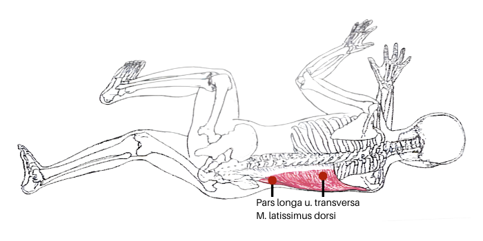 Primitive Therapeutics