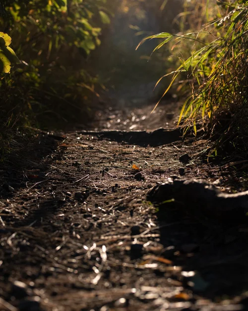 Liminal Spaces — Pamela McIntyre Photography