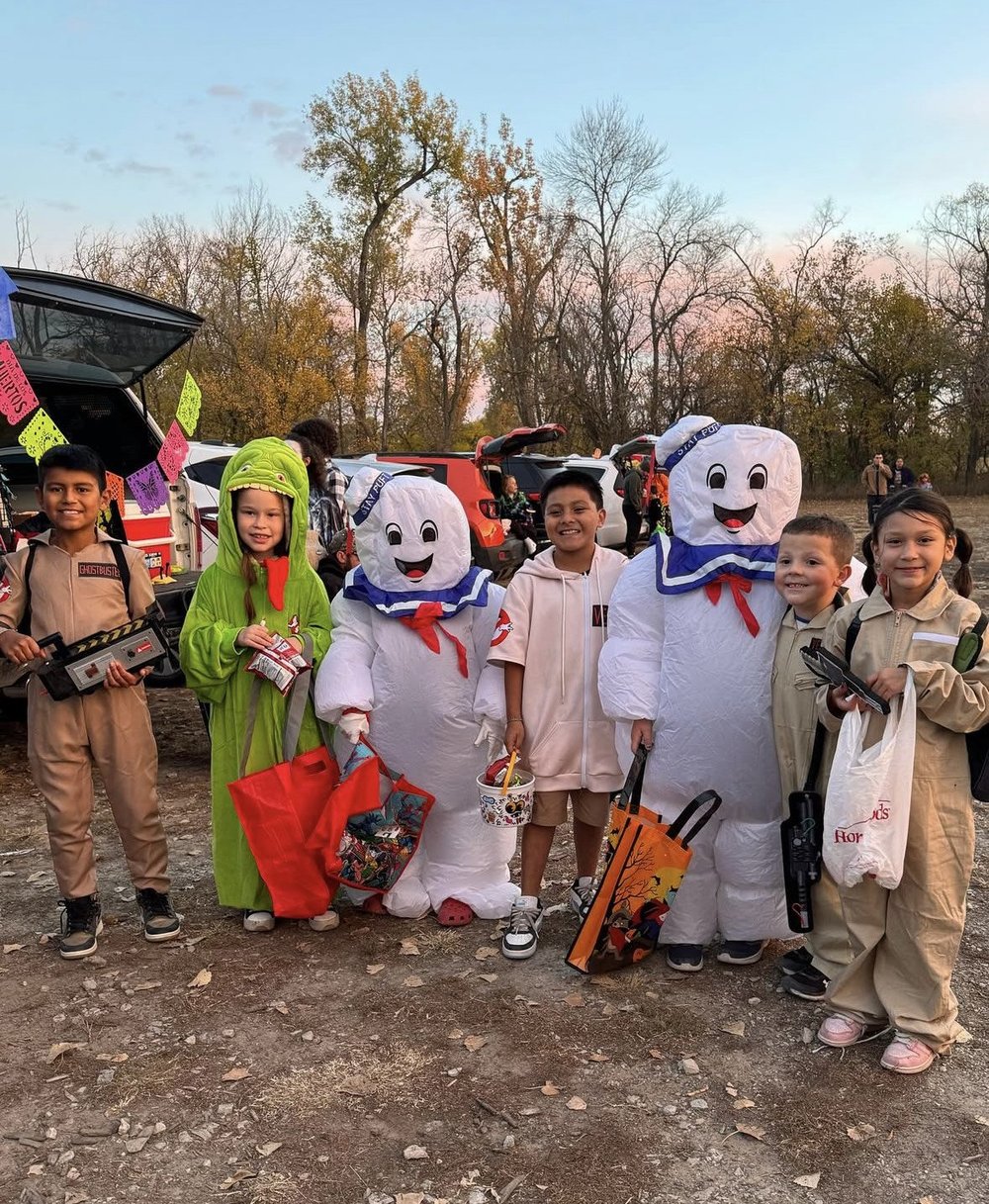 Movies — Falconwood Park