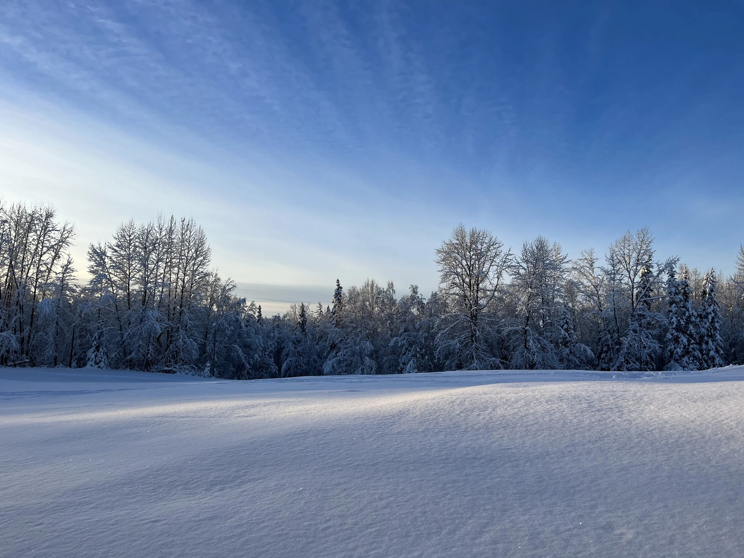 Why is Mushin (No-Mind) Important? — MUSHIN ZEN BLOG