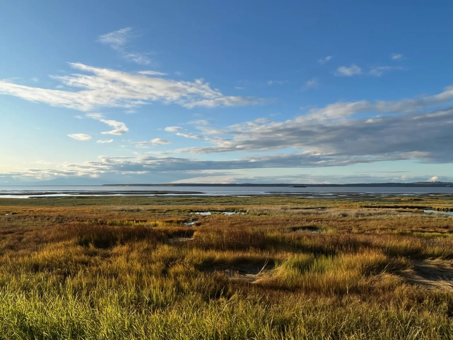 How Can We Practice Mushin (No-Mind)? — MUSHIN ZEN BLOG