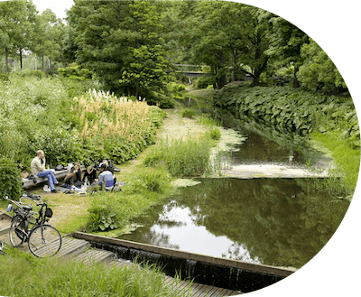 Hammonds Farm Chelmsford: Building a Successful Community