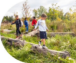 Hammonds Farm Chelmsford: Building a Successful Community