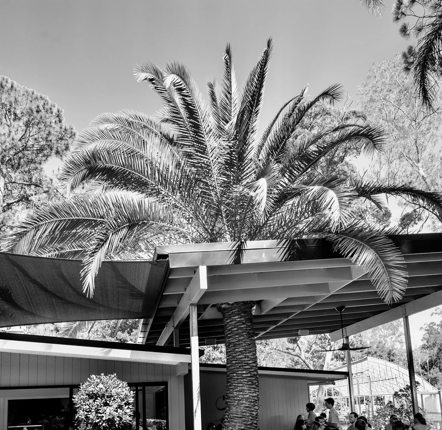 Canary Cafe — Archetype Designs & Projects Award-Winning Building ...