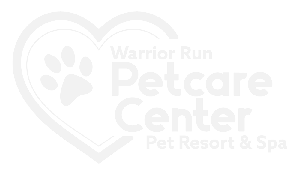 Warrior Run Petcare Boarding Grooming In Watsontown Pa