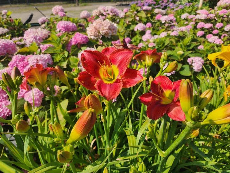 Contact — Gardens Alive Farms