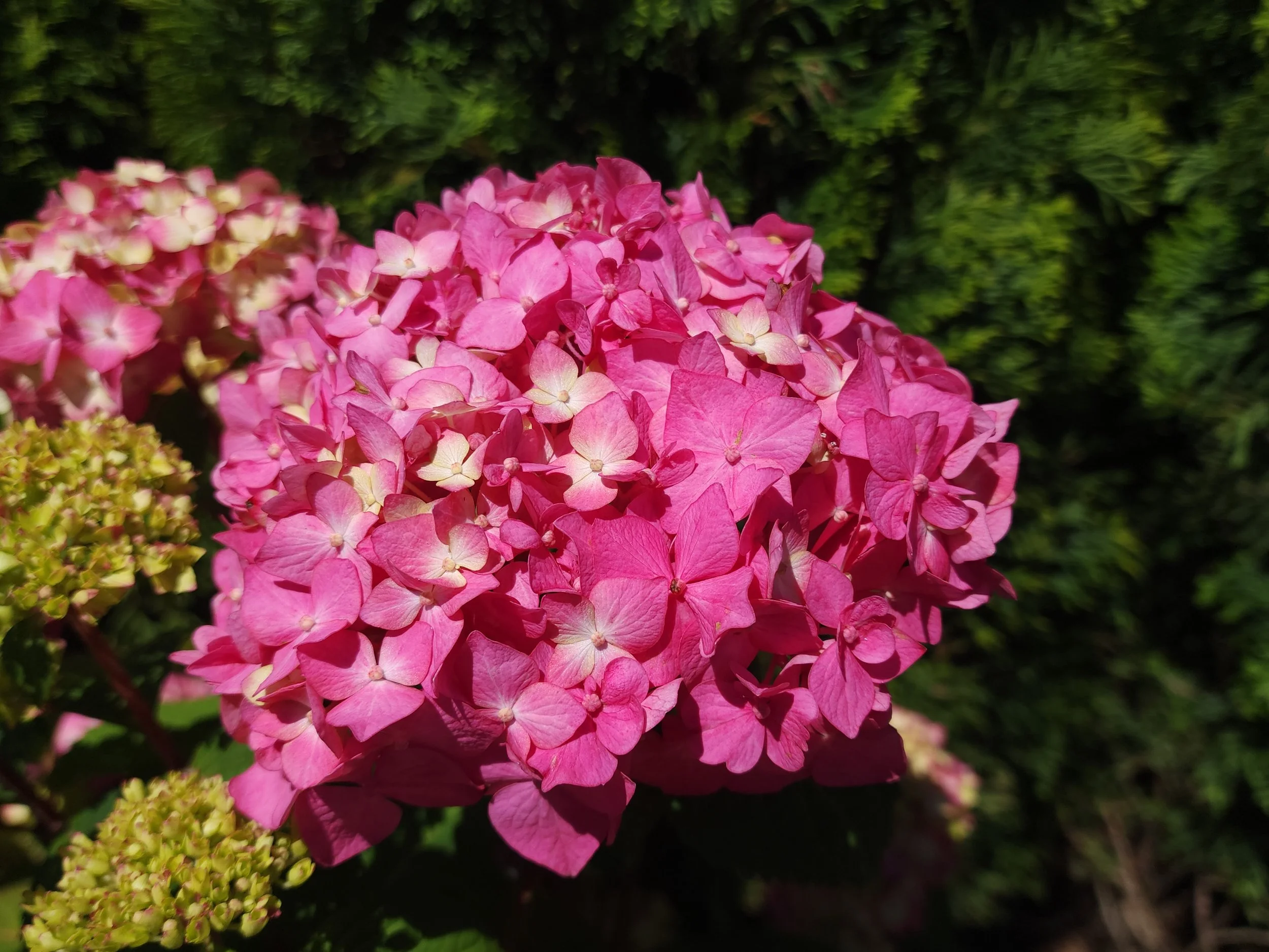 Upcoming Events — Gardens Alive Farms