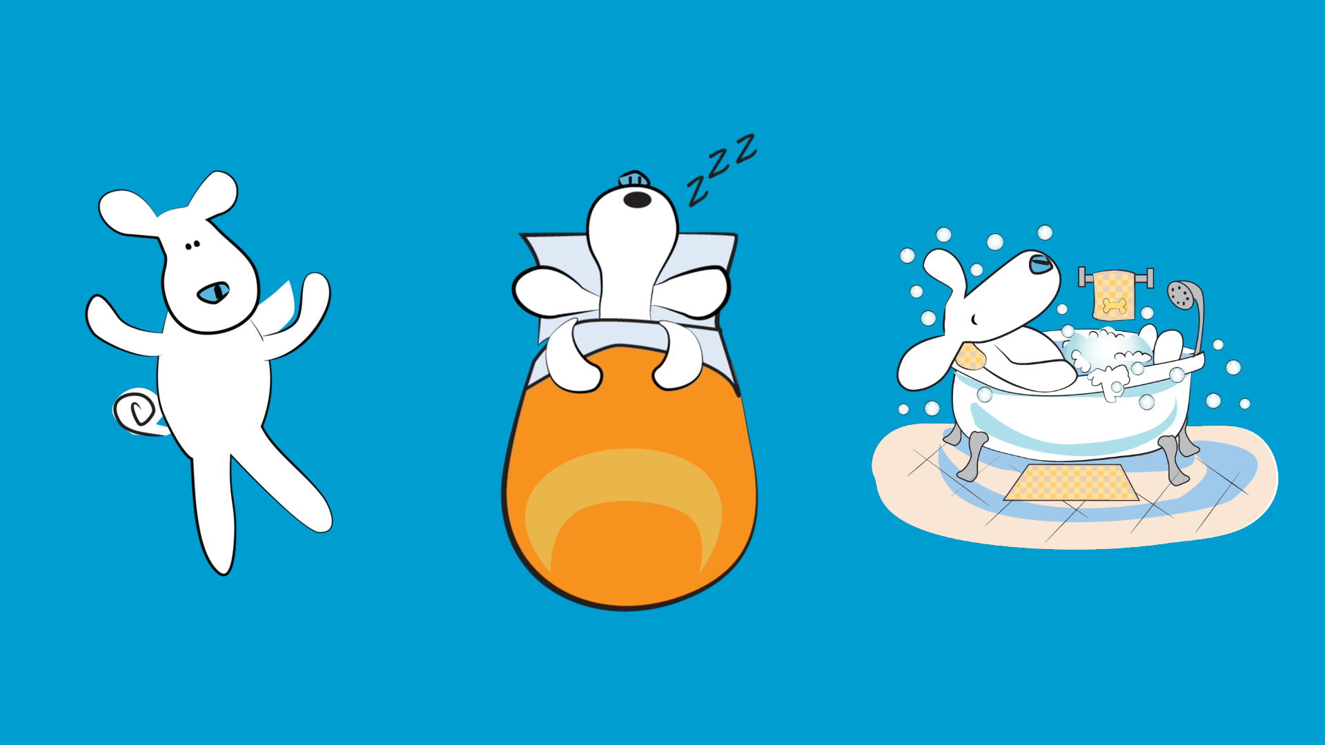 Overnight dog boarding for in DC — City Dogs