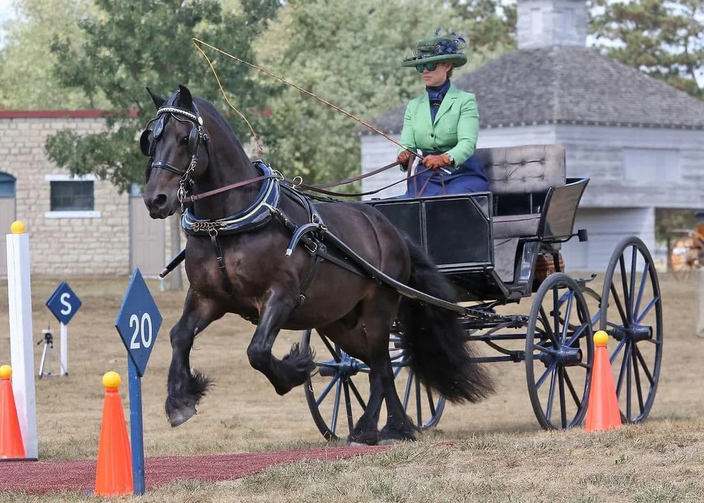 Villa Louis Carriage Classic — PORTS OF DISCOVERY