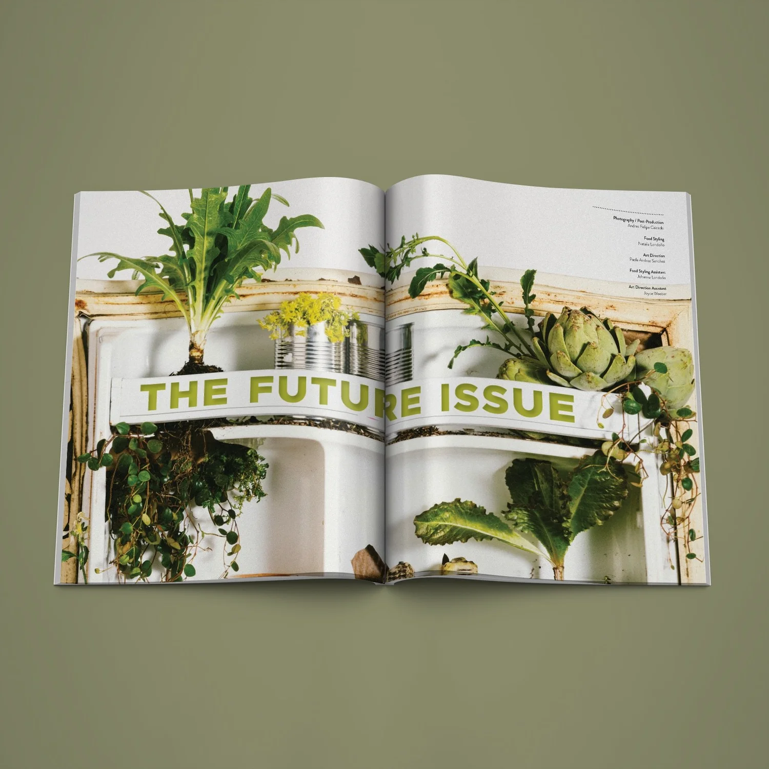 Shop — Kitchen Table Magazine