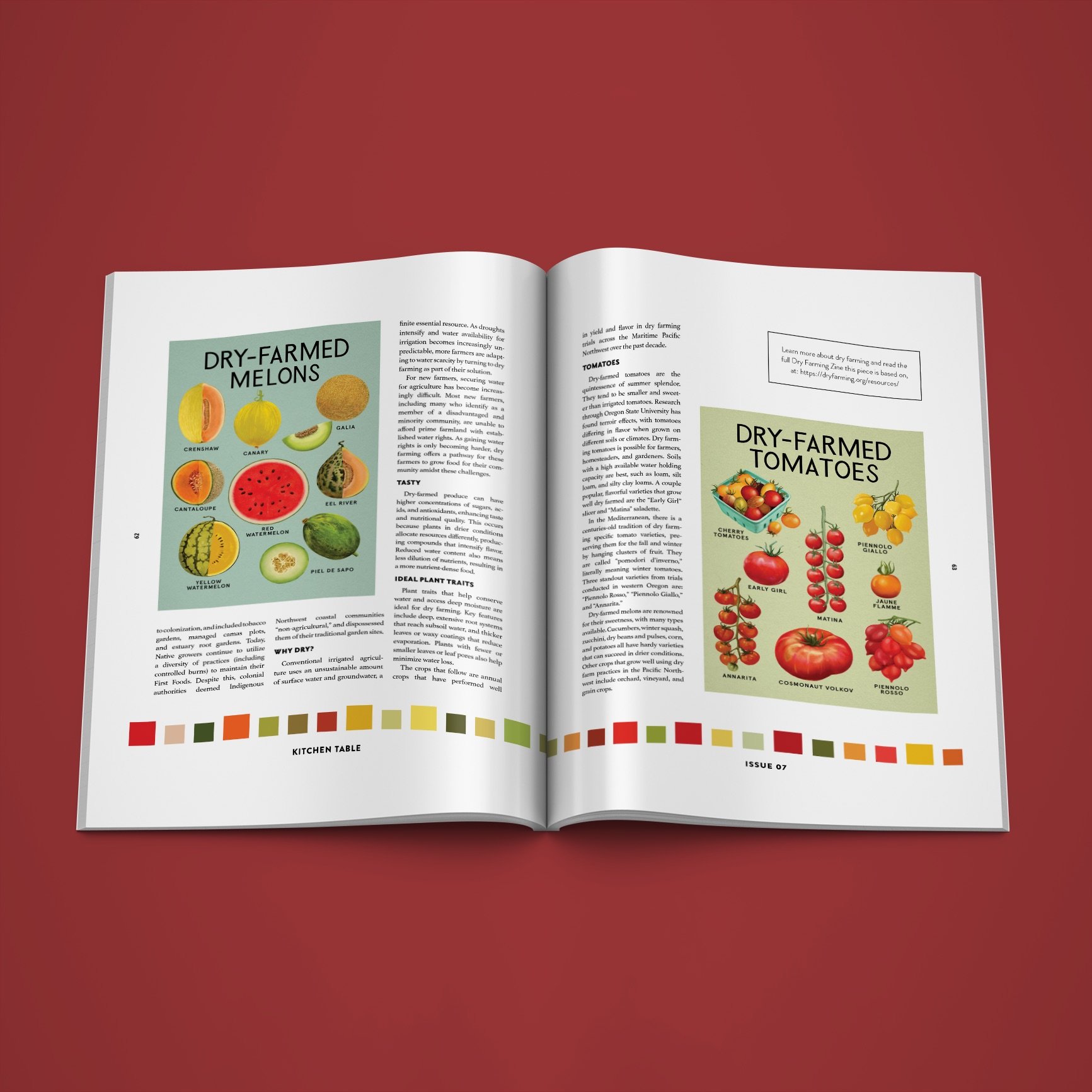 Shop — Kitchen Table Magazine