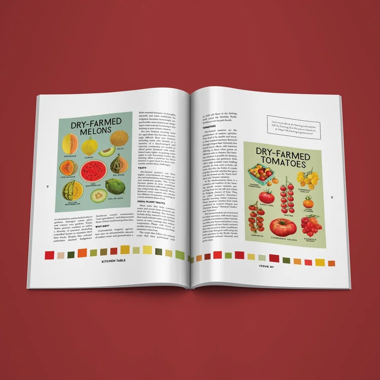 Shop — Kitchen Table Magazine