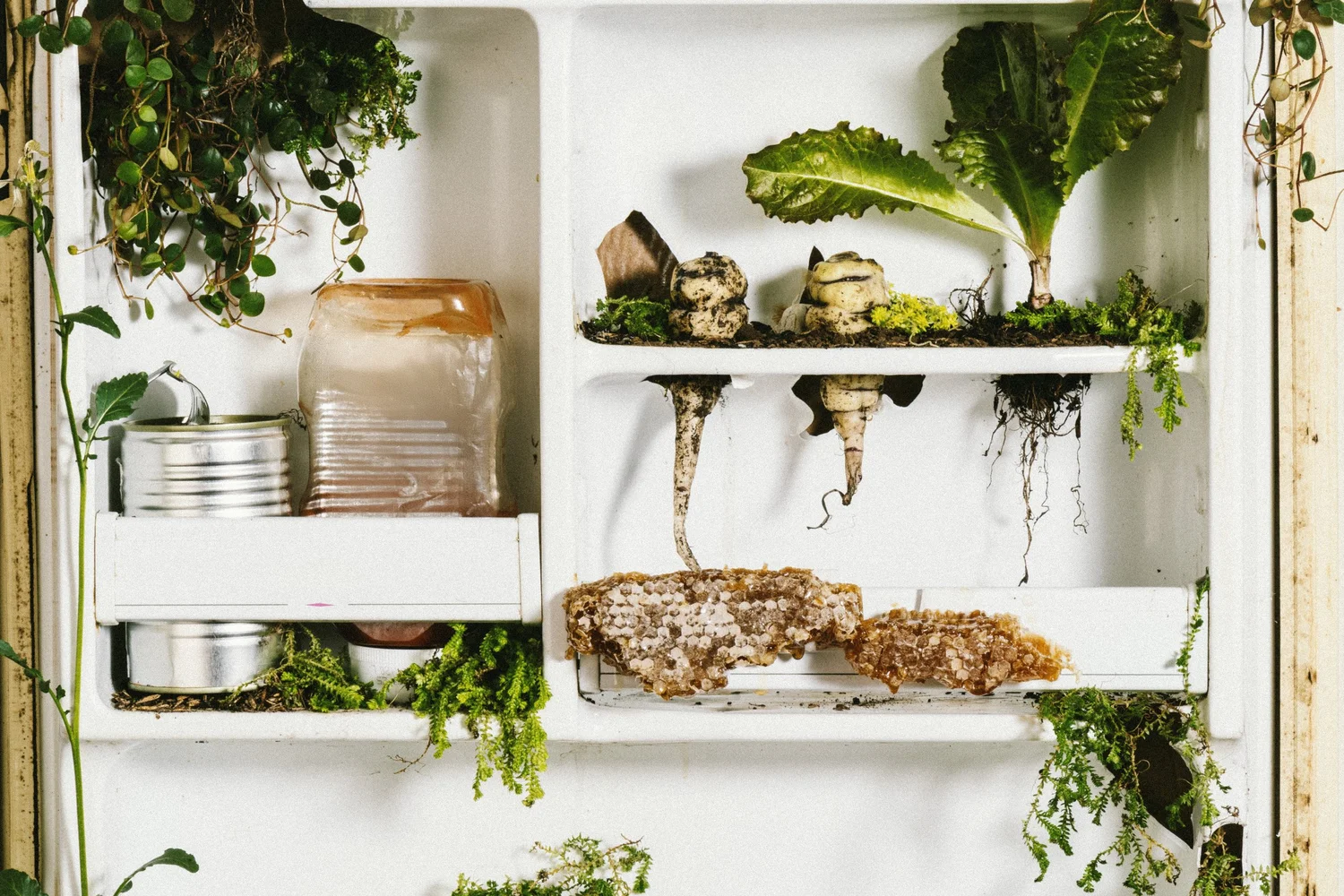 Kitchen Table Magazine