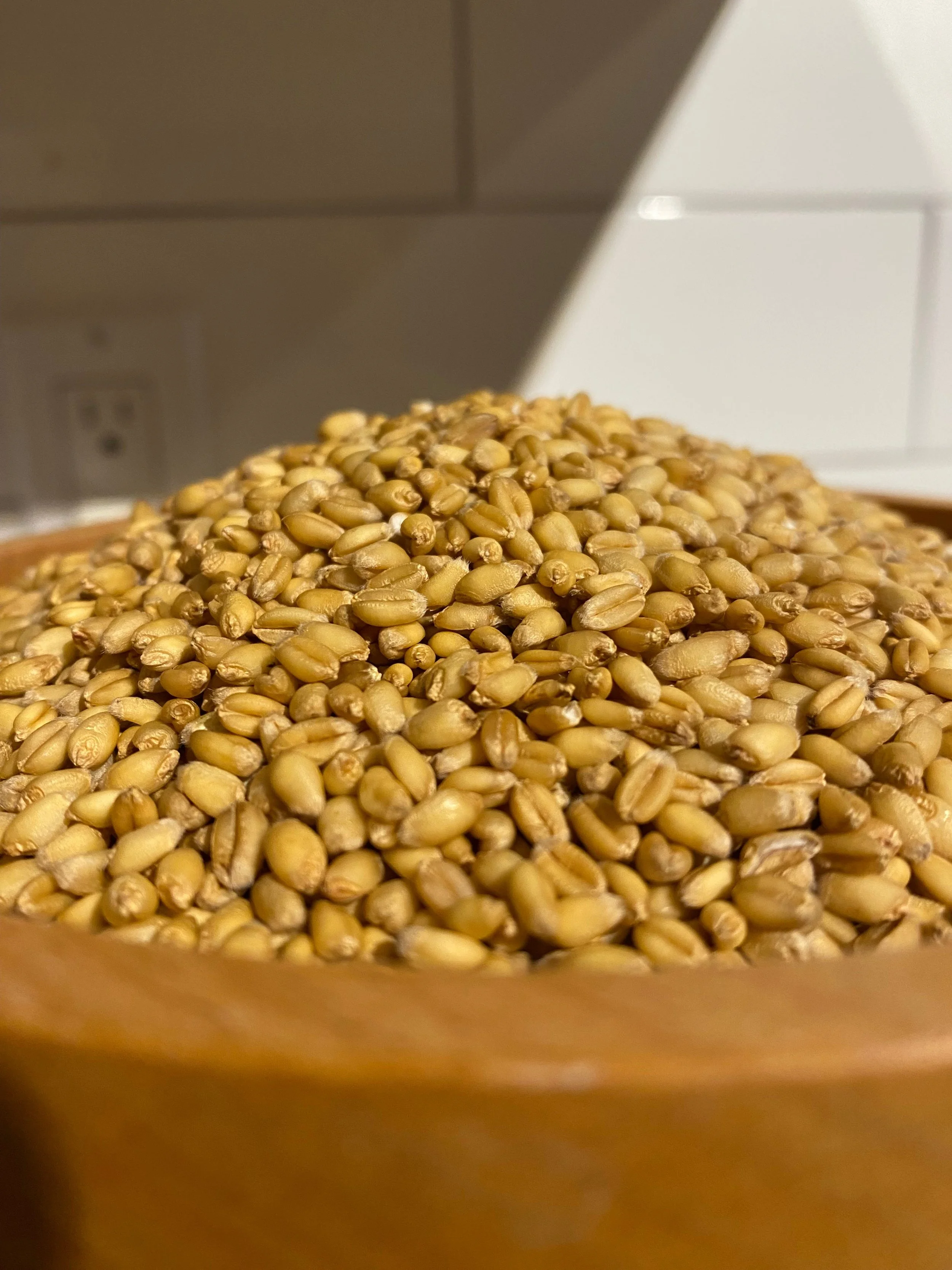 Why Whole Grain? — Tommy's Whole Grain Bakery