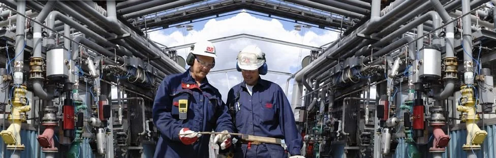 Professional Valve Service