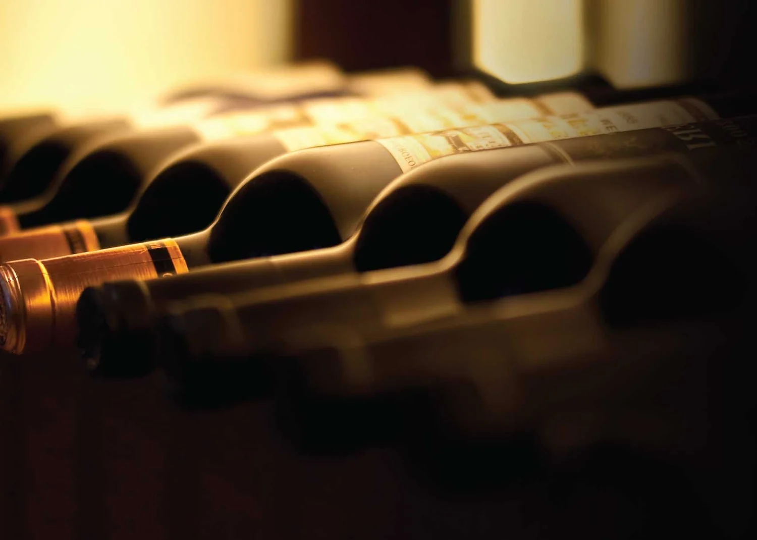 Casey Biggs - Actor | Musician | Wine Maker