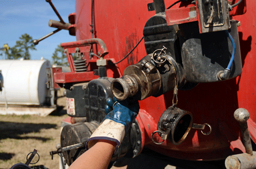 About 1 — Phoenix Oil