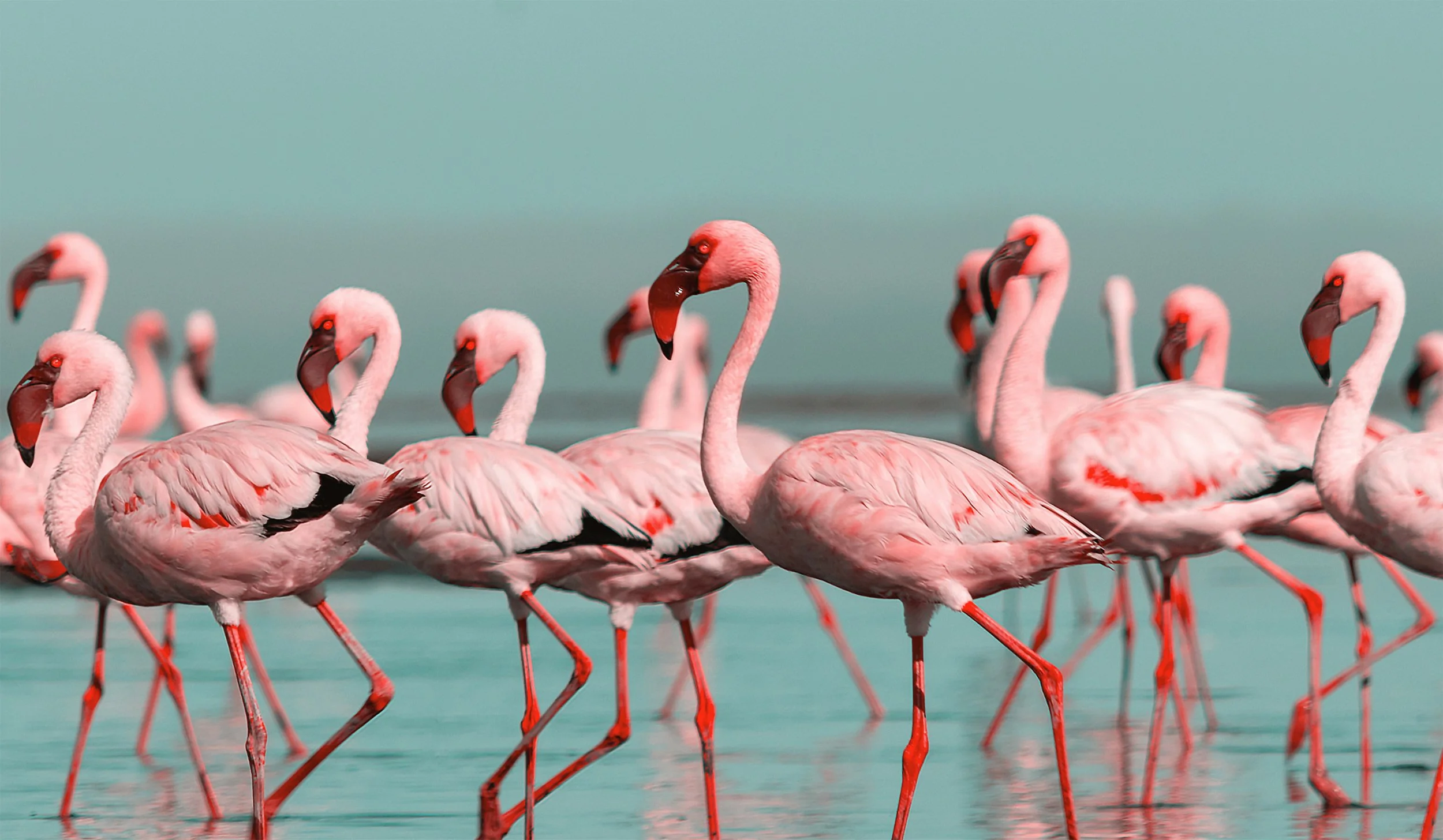 Miami | 5K Run & Rave on Jan 17 — Diplo's Run Club