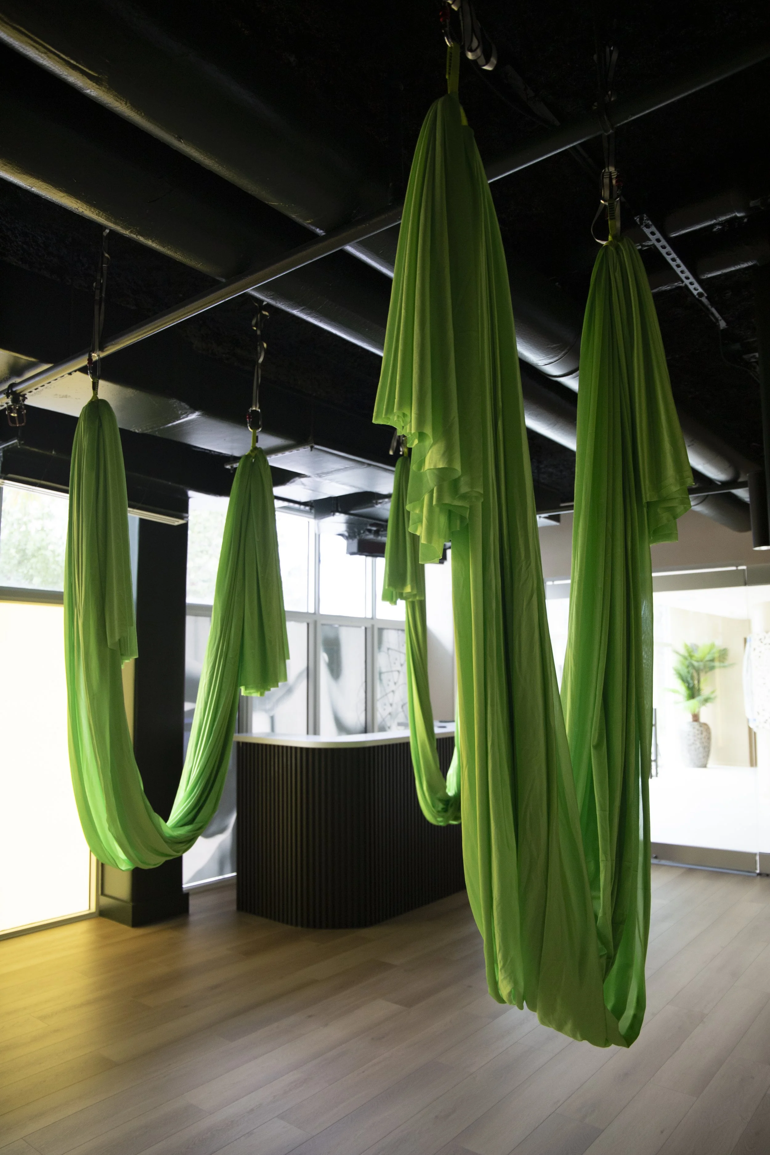 RF Studios - Corporate Wellness — rfstudiosmiami.com