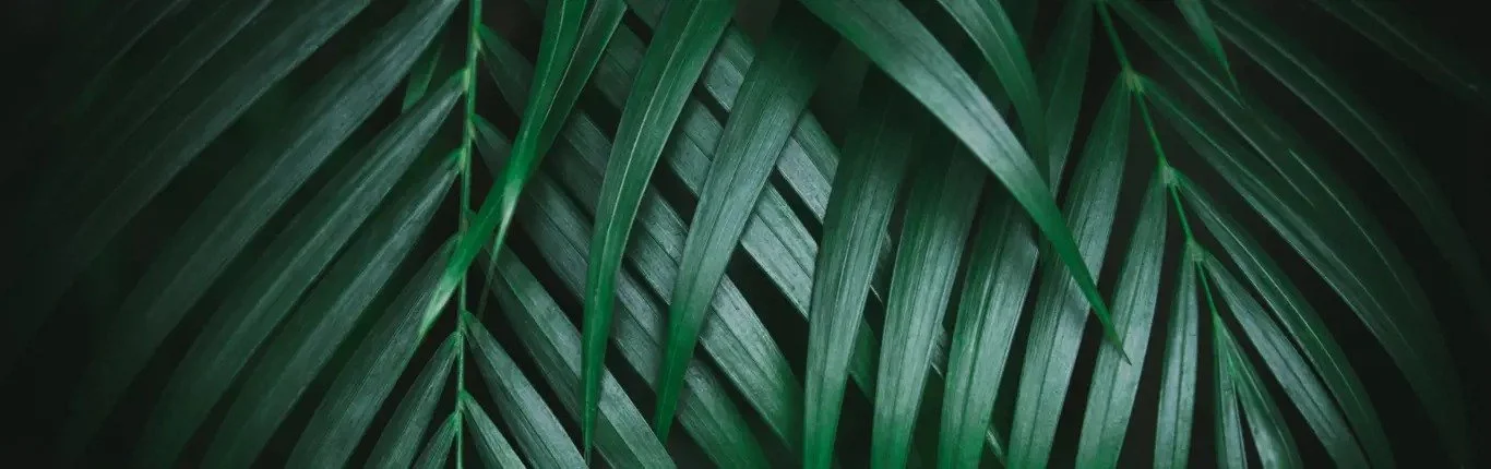 RF Studios - Class Schedule — rfstudiosmiami.com