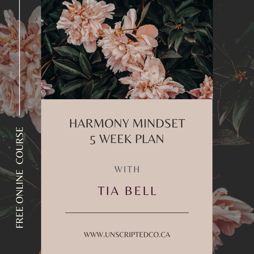 workbook — Store 1 — unscripted co.