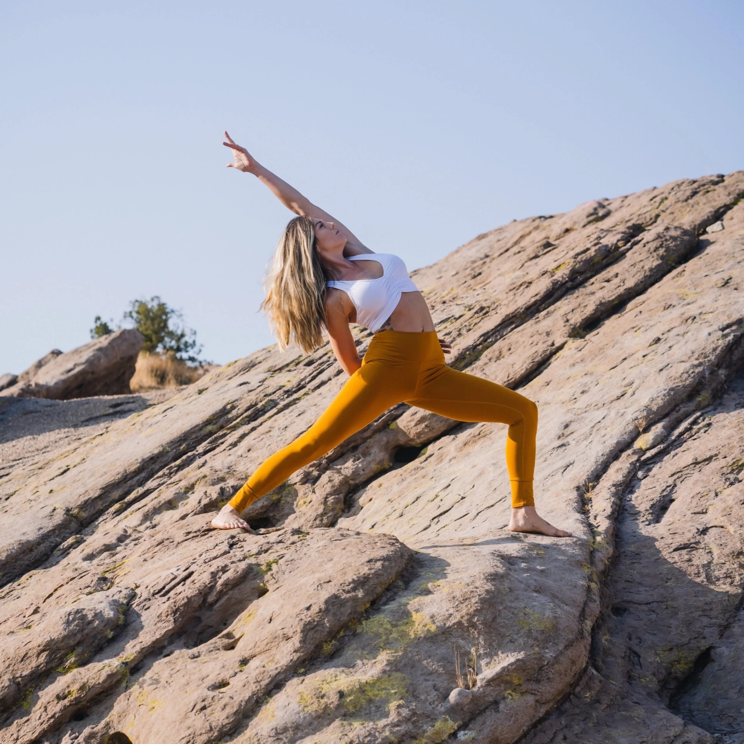 Workshops & Trainings — Yoga Yoga