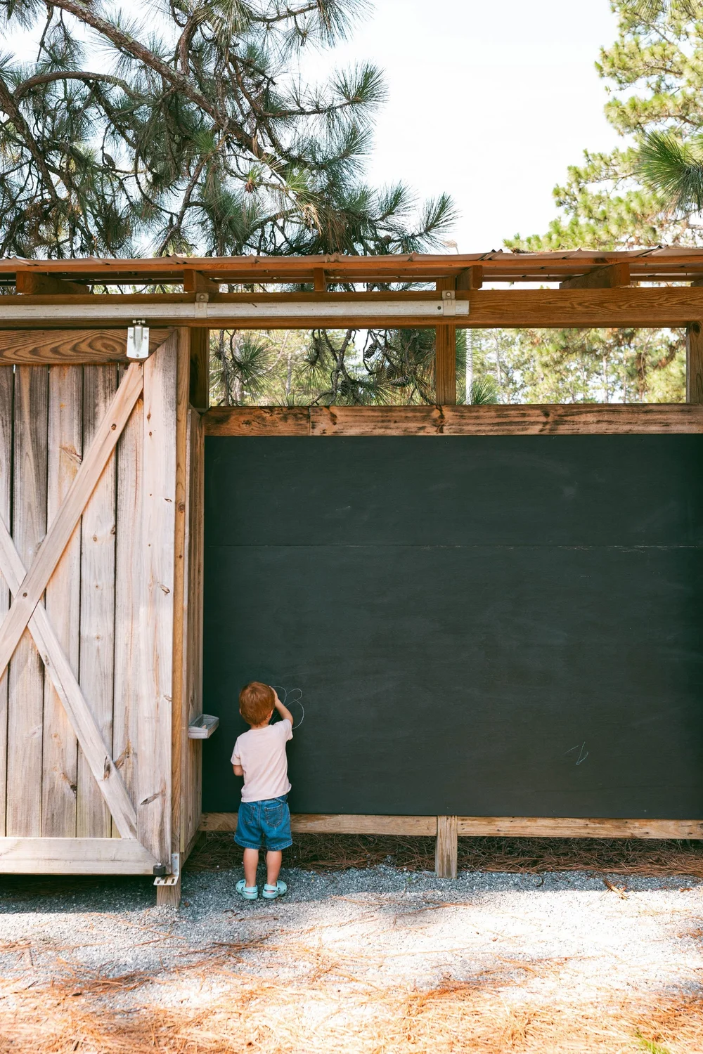 10 Things to Do with Kids in Southern Pines, NC — MoCoMom